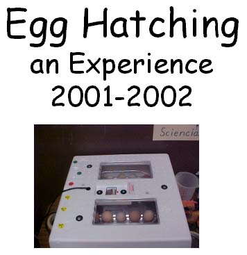 Teachers.Net Gazette April 2003 - EGG HATCHING, A POWERPOINT ...